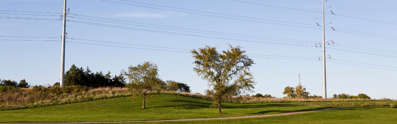 Planting Trees Near Utility Lines in Northern Virginia