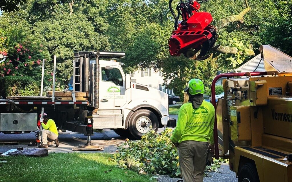 7 Benefits of a Remote-Control Tree Removal Crane for Removal Jobs in ...